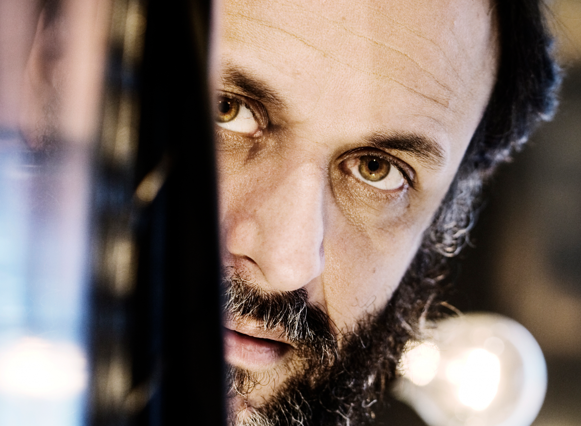 Luca Guadagnino - Göteborg Film Festival